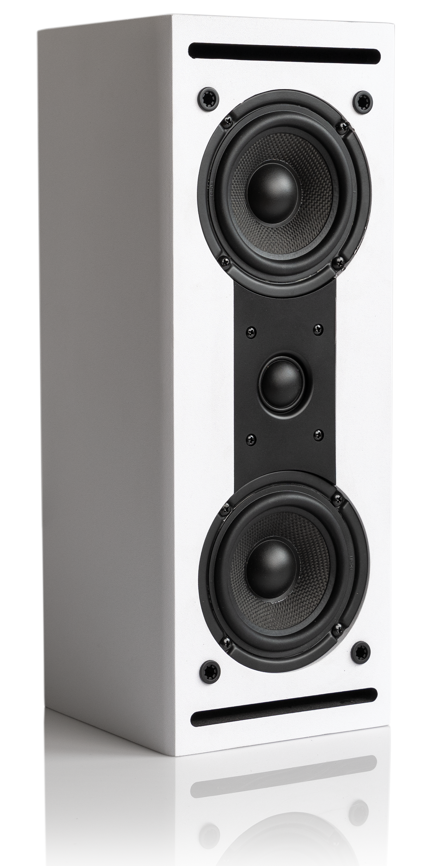 CG23M Bookshelf Speaker – Rogersound Labs