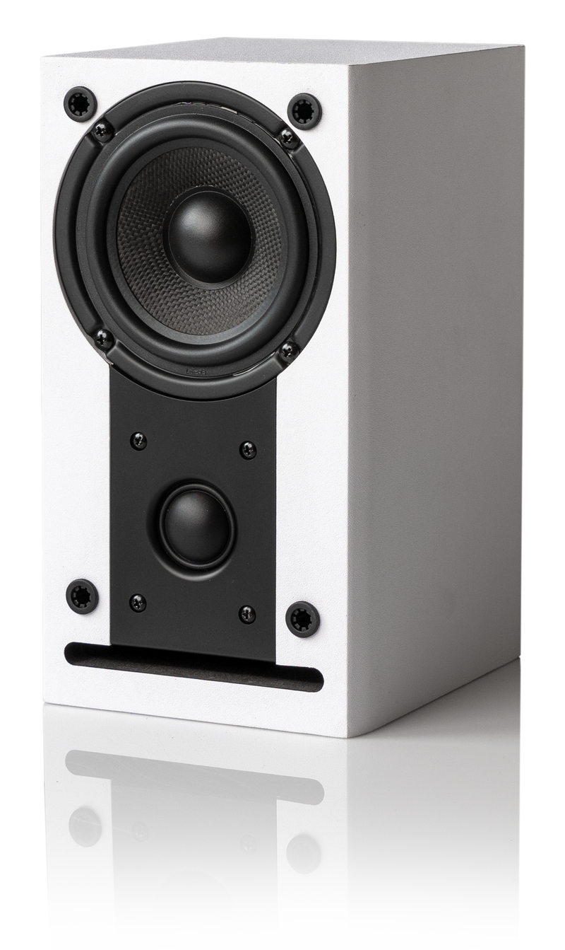 CG3M Bookshelf Speaker – Rogersound Labs