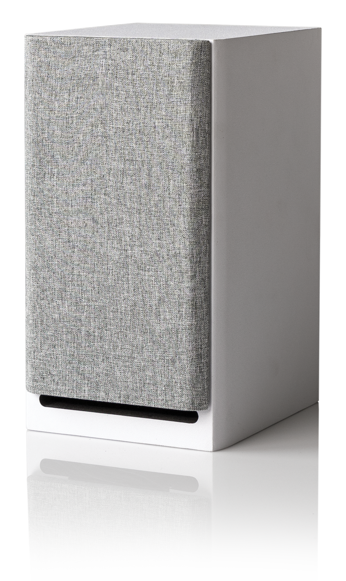 CG3M Bookshelf Speaker – Rogersound Labs