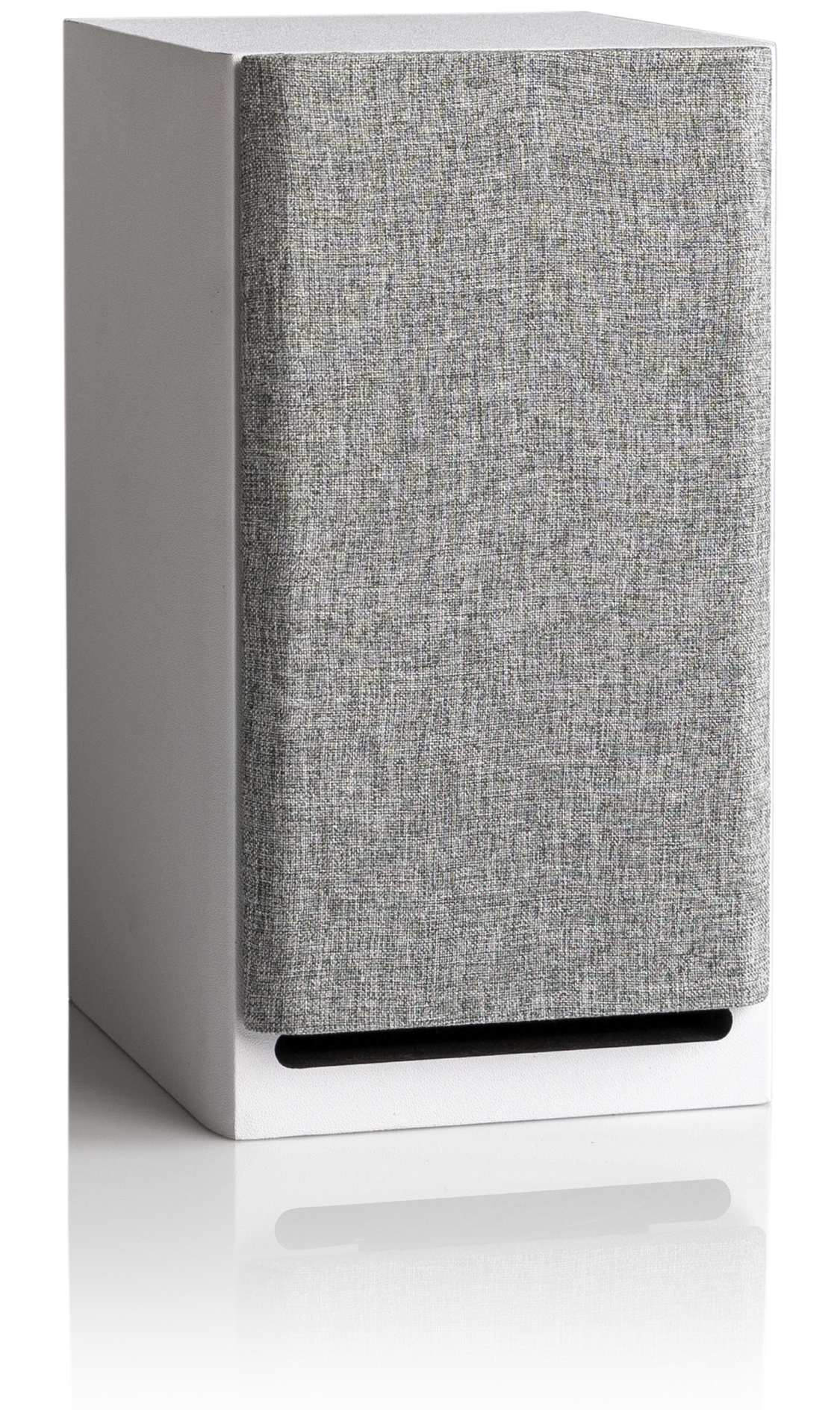 CG3M Bookshelf Speaker – Rogersound Labs
