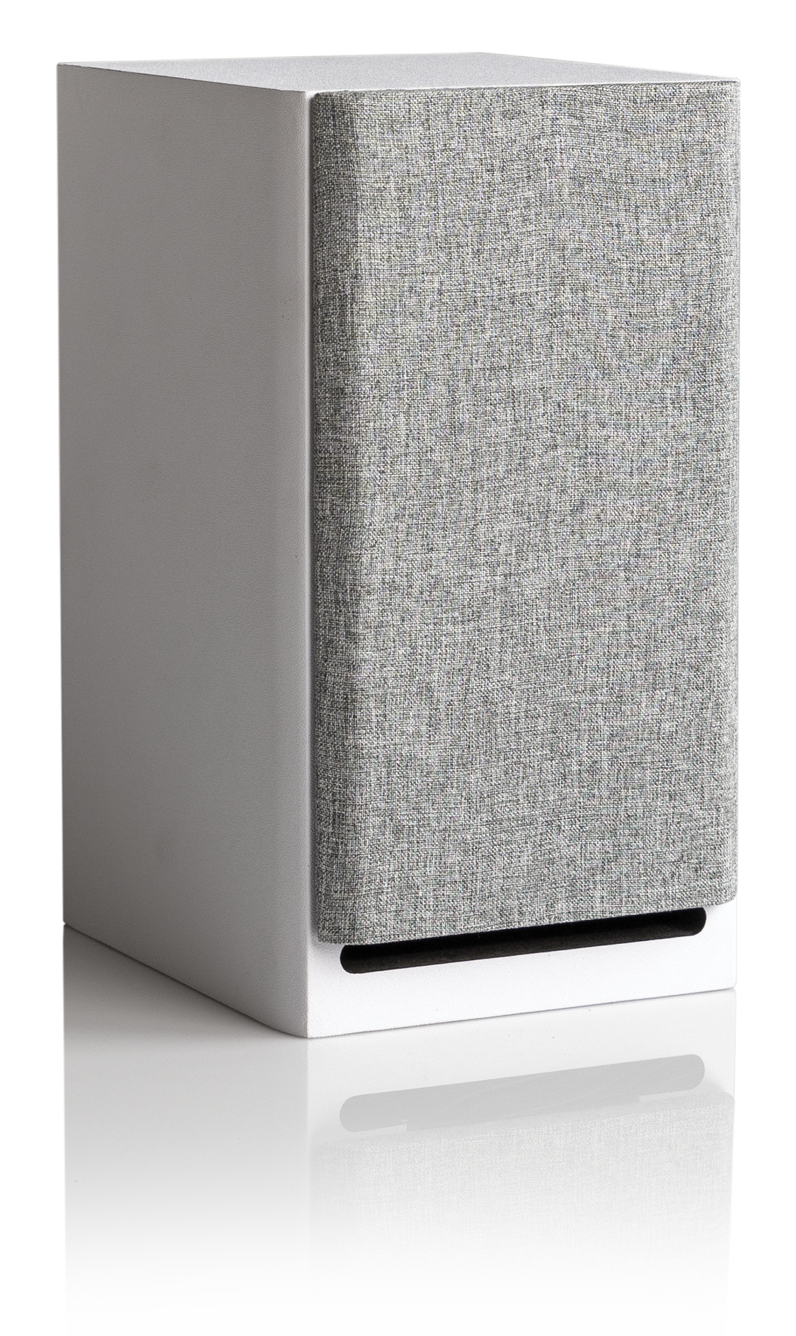 CG3M Bookshelf Speaker – Rogersound Labs