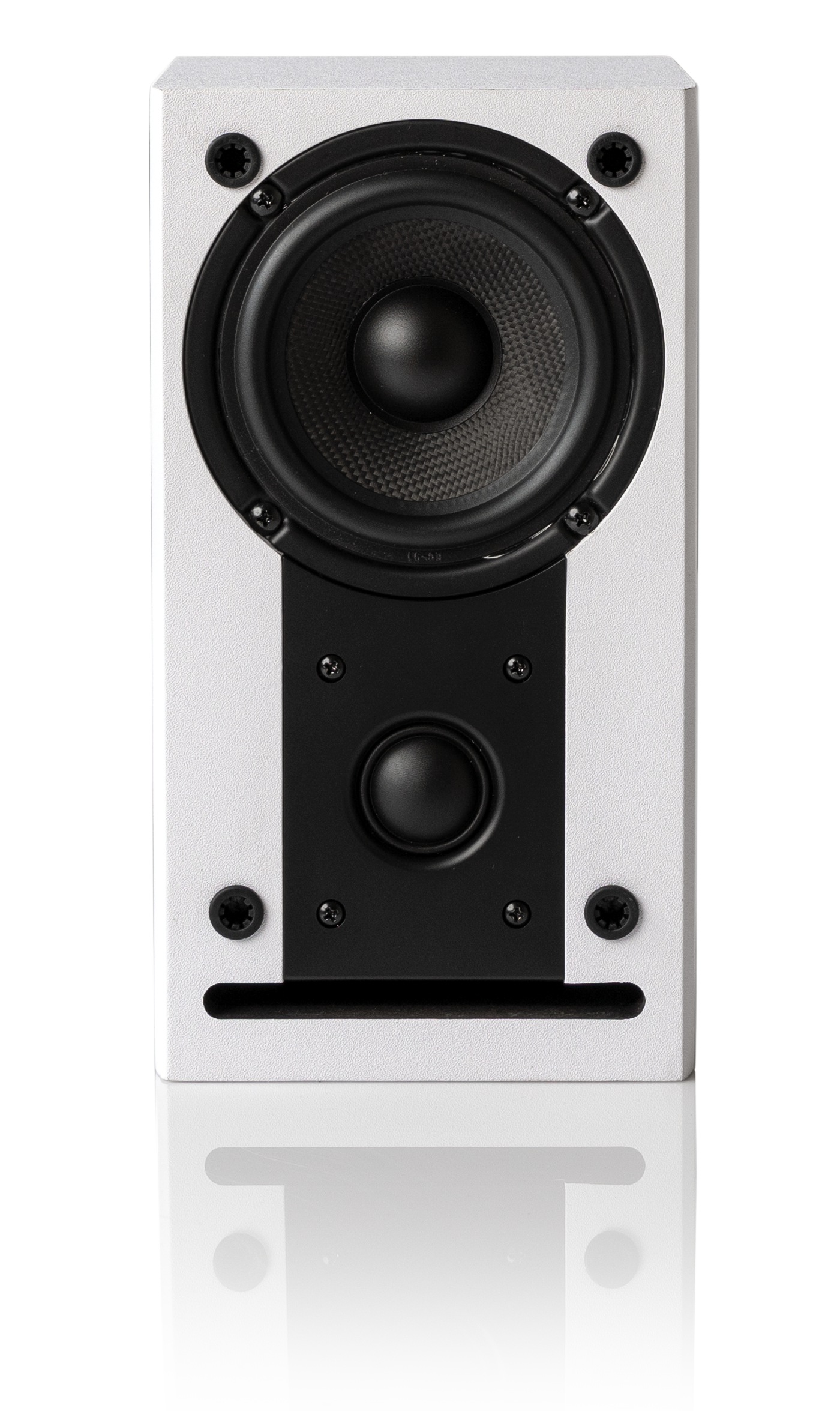 CG3M Bookshelf Speaker – Rogersound Labs
