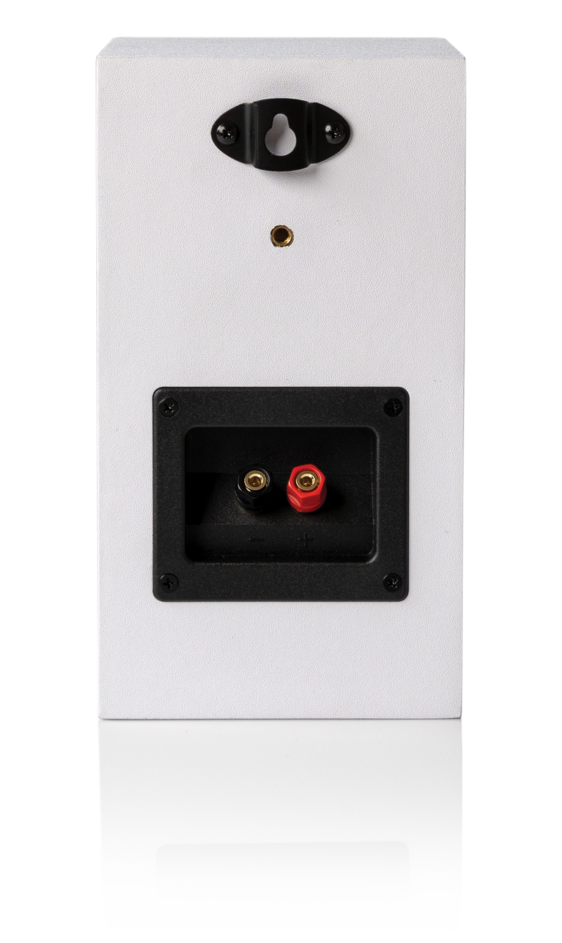 CG3M Bookshelf Speaker – Rogersound Labs