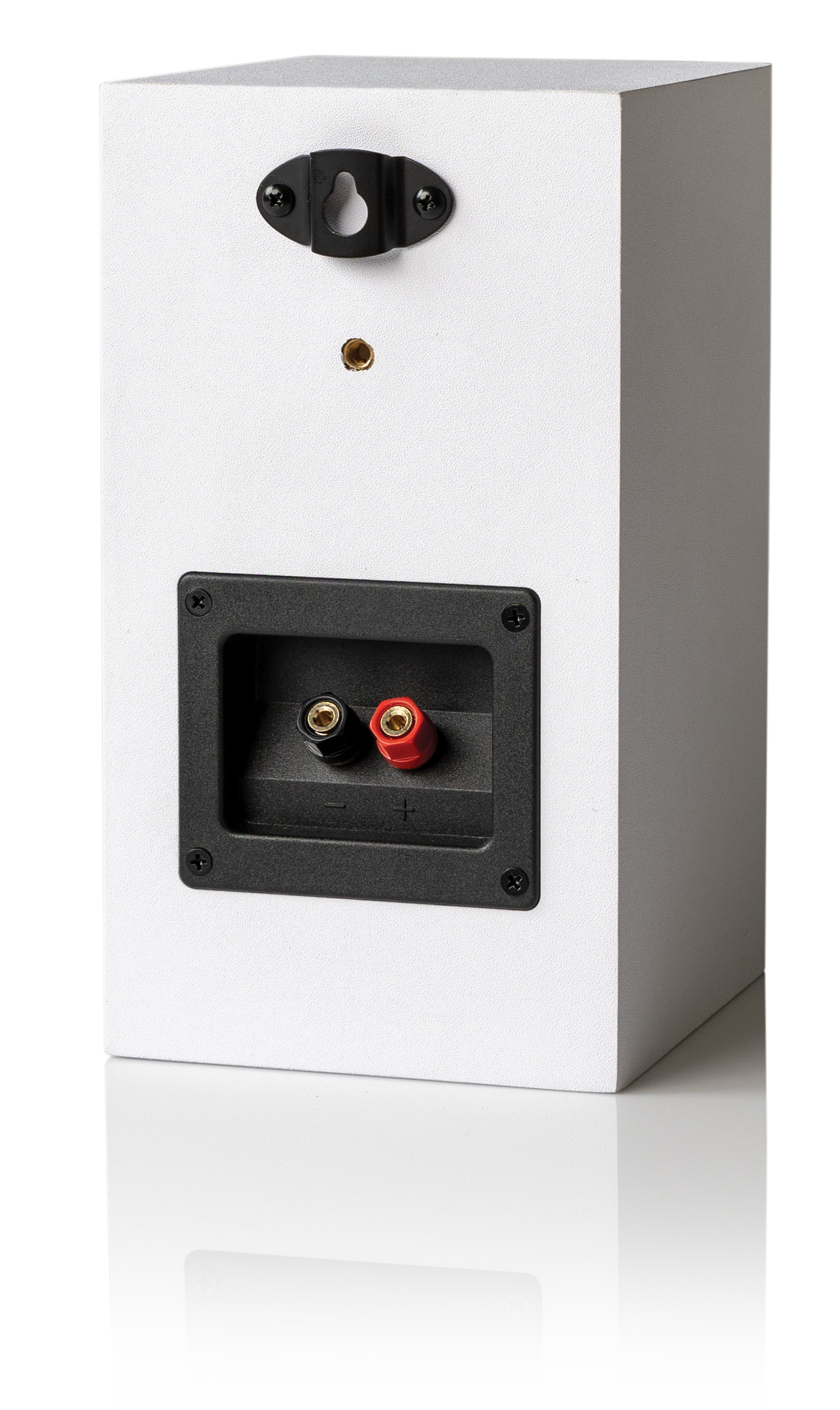 CG3M Bookshelf Speaker – Rogersound Labs