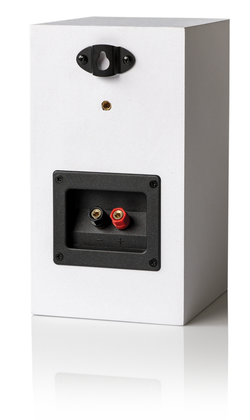 CG3M Bookshelf Speaker – Rogersound Labs