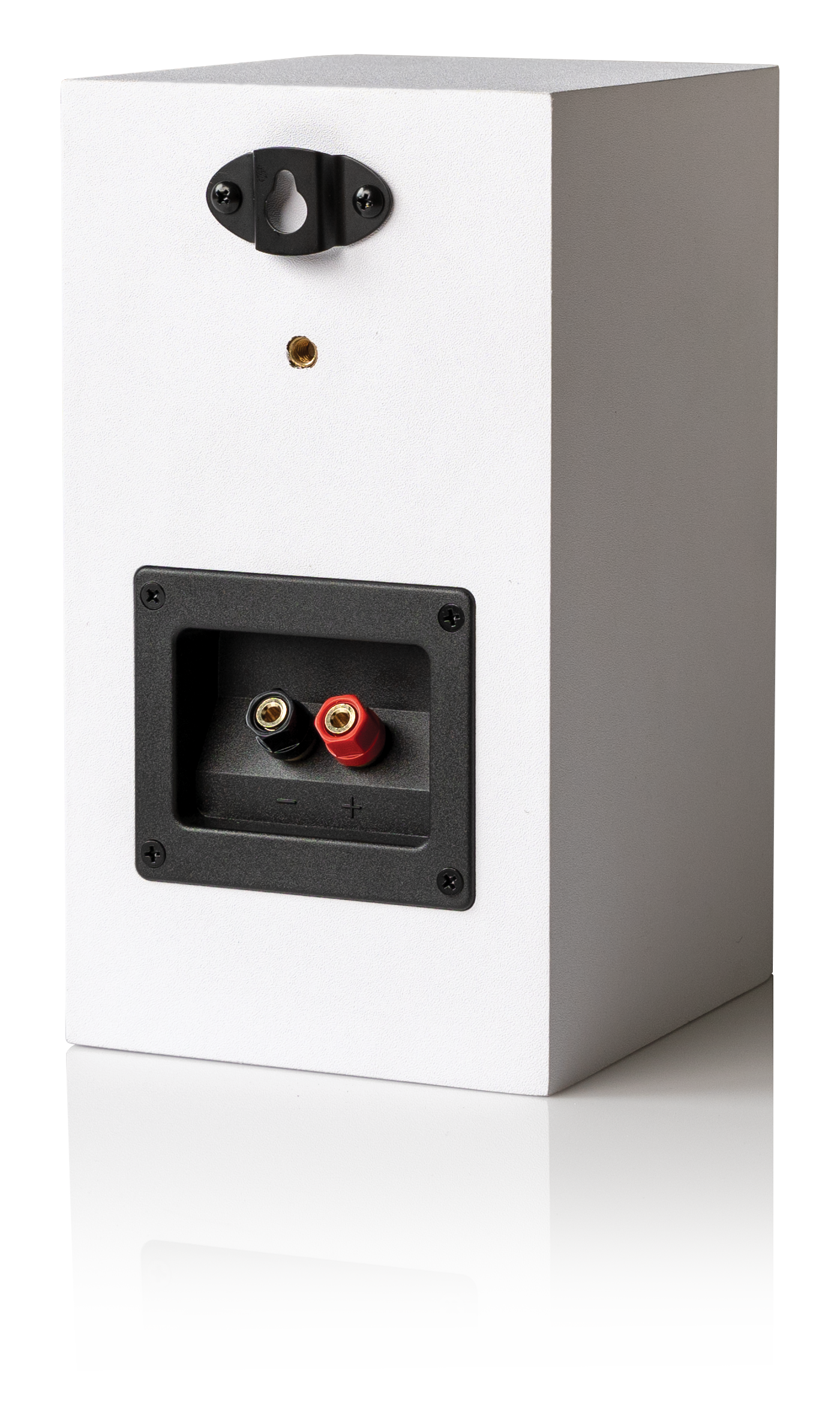 CG3M Bookshelf Speaker – Rogersound Labs